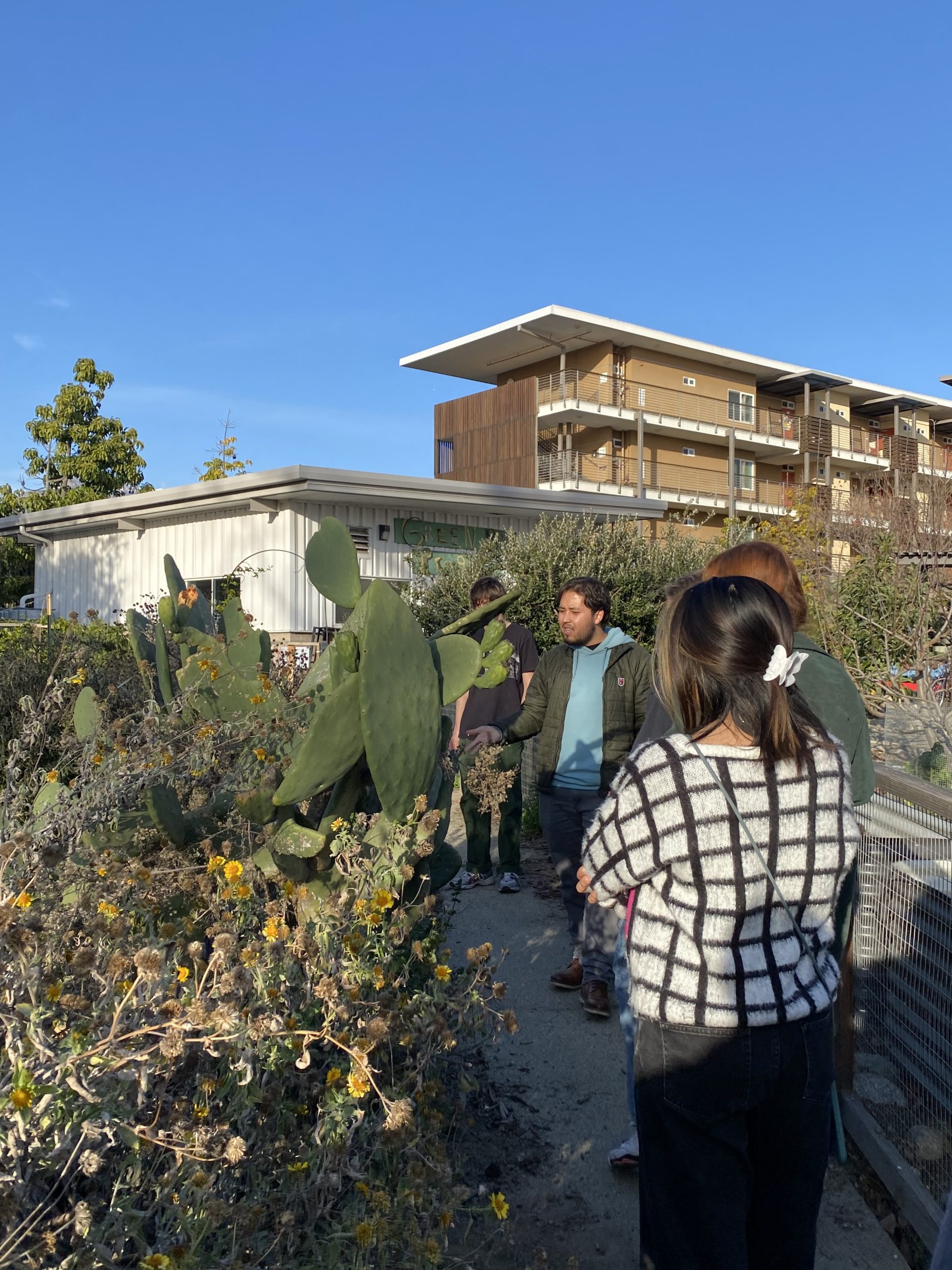 Introduction to the Hive: Experience of the Native Plant Scavenger Hunt ...
